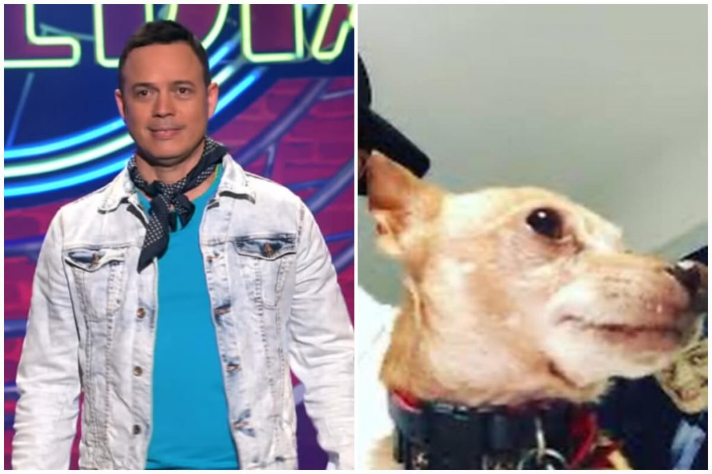 ¡Adiós Chiwi! Alexis Valdés y su familia despiden a su amado chihuahua