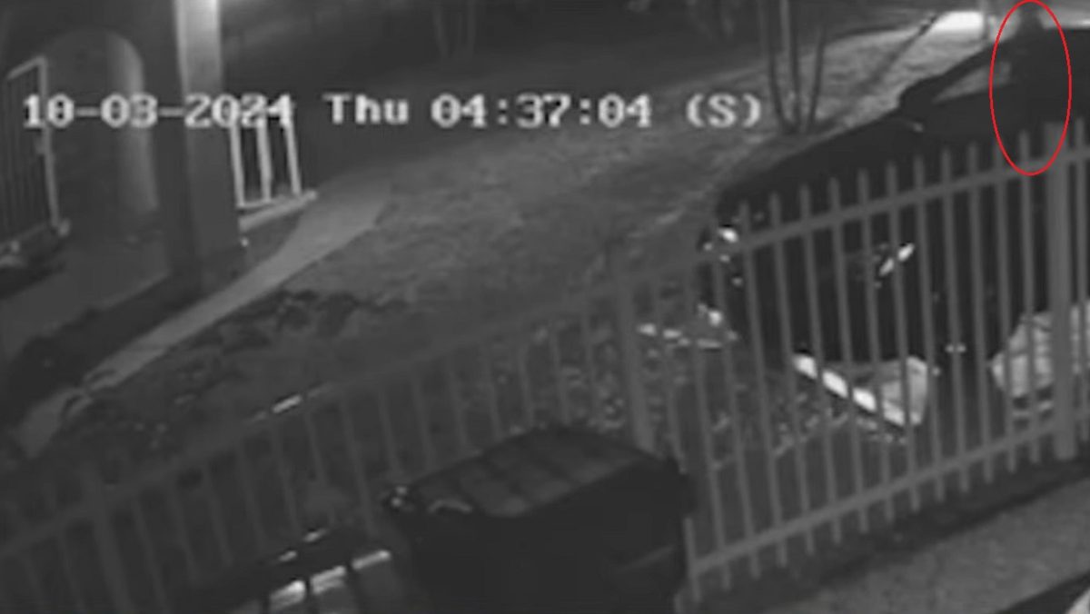 Caso de El Taiger: habla pareja de Damián Valdez ¿Es ella quien aparece en el video?